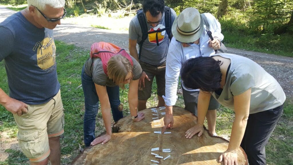 Tours | Black Forest Tours