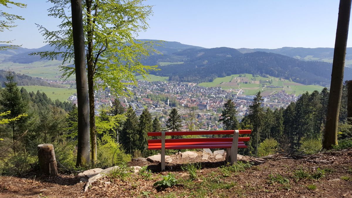 The Black Forest Trail | Black Forest Tours