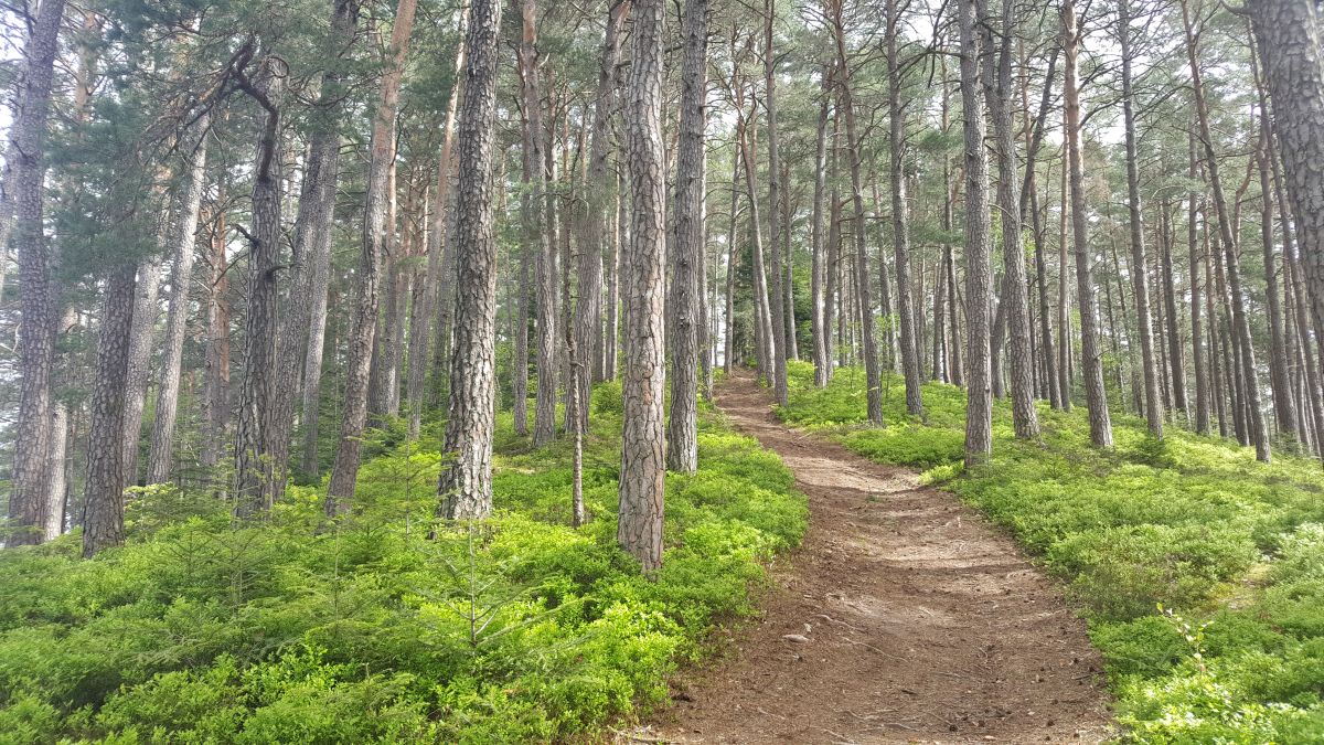Towns of The Black Forest Germany | Black Forest Tours
