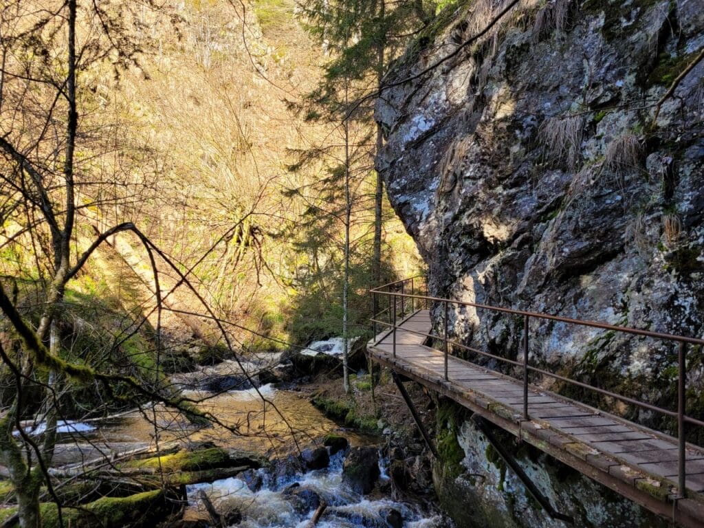 Ravenna Gorge Hike, Self-Guided Day Hike | Black Forest Tours