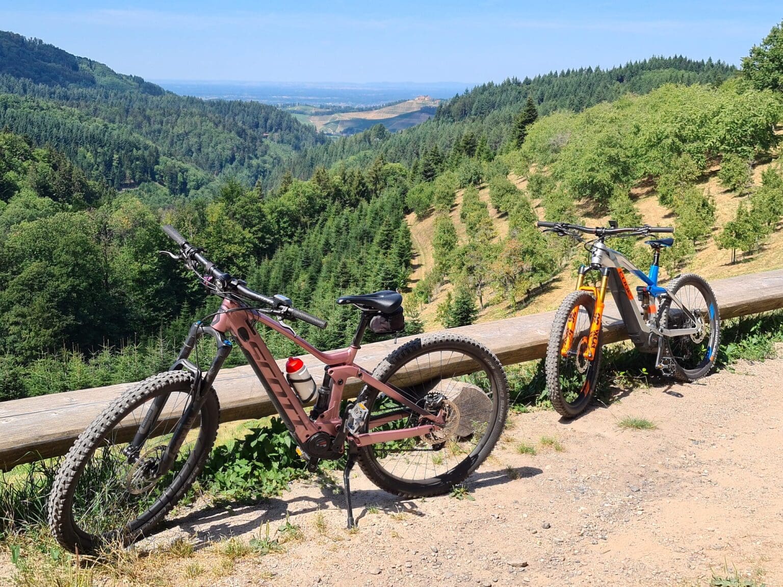 Tours | Black Forest Tours