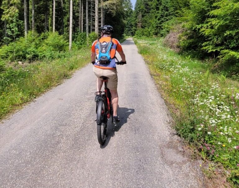 Schnapps Trail Tour | Black Forest Tours